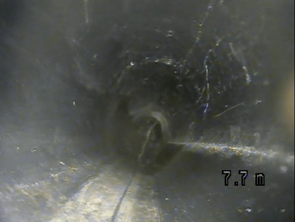 Rats Protection Unique and Exclusive - Rats Out